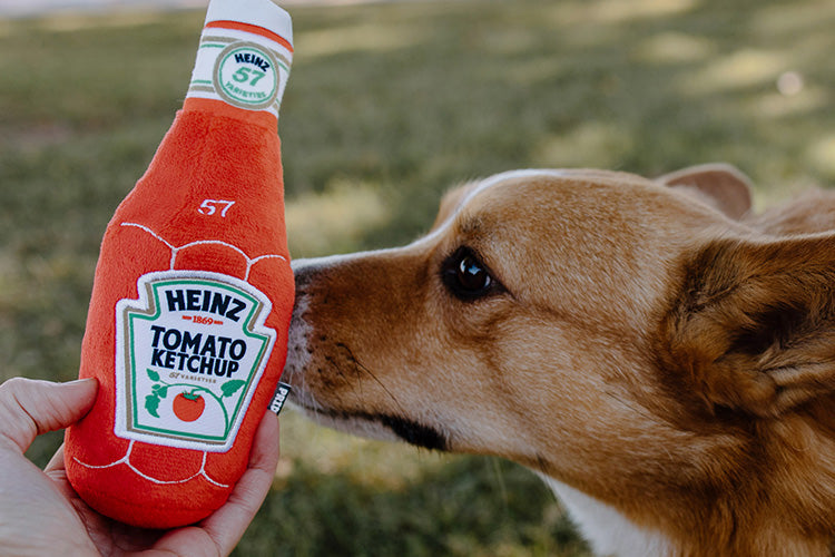 Heinz Case Study Custom Pet Merchandise Success Story | PrideBites