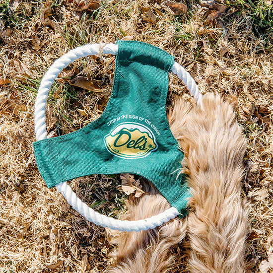 Custom Dog Frisbee Rope Toy (Wholesale) | Pridebites – PrideBites