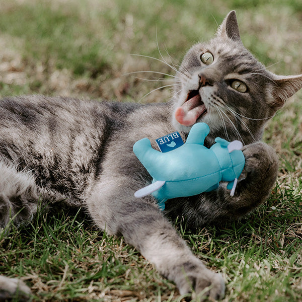 Wholesale Custom Plush Catnip | Plush Toys for Cats | PrideBites